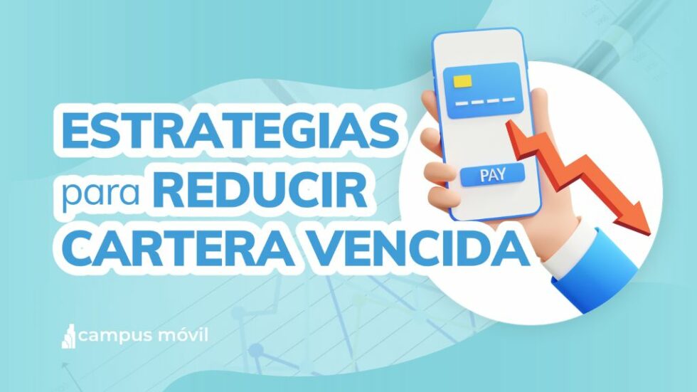 Estrategias para Reducir la Cartera Vencida en Escuelas Privadas ...